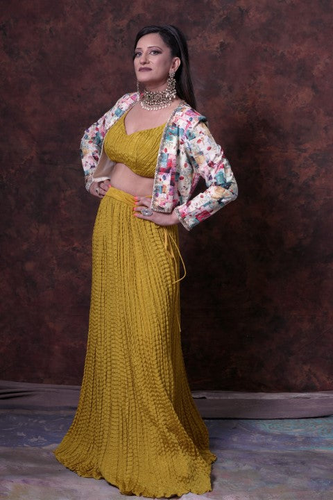 Buy Indo-Western Lehenga Choli USA – Roop Sari Palace